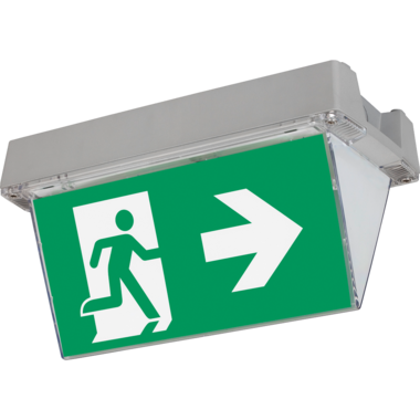 Piktogramm Atlantic LED D, BL